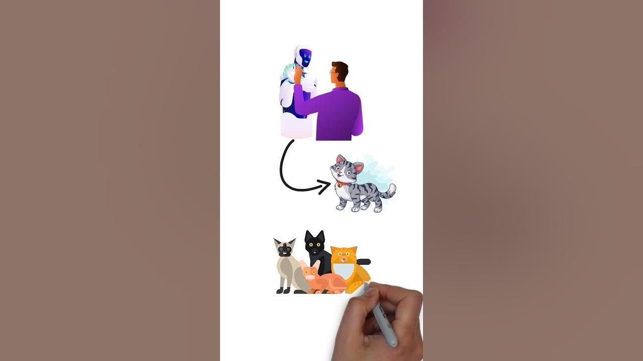 How AI Learns: Training vs. Inference Explained Simply! - YouTube