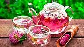 Рецепт приготовления чая из цветов красного клевера - YouTube