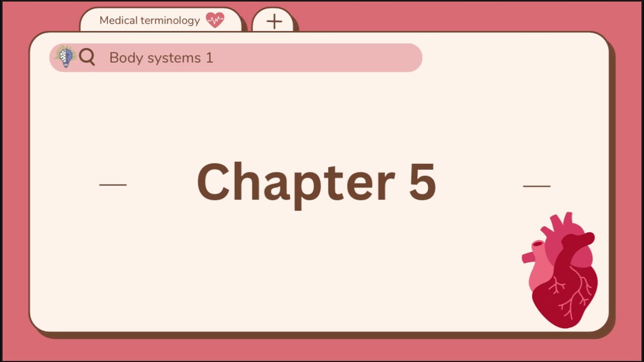 Medical Terminology | chapter 5 - YouTube