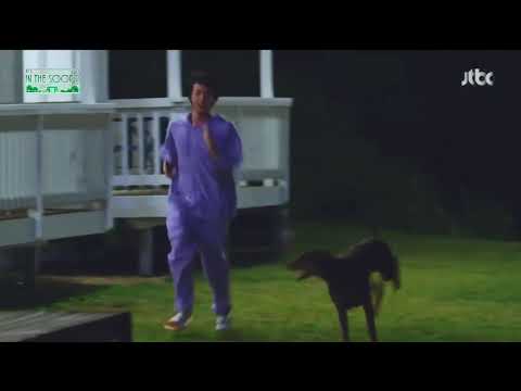 Jin playing with dog - BTS IN THE SOOP Season 2  #bts #btsinthesoop