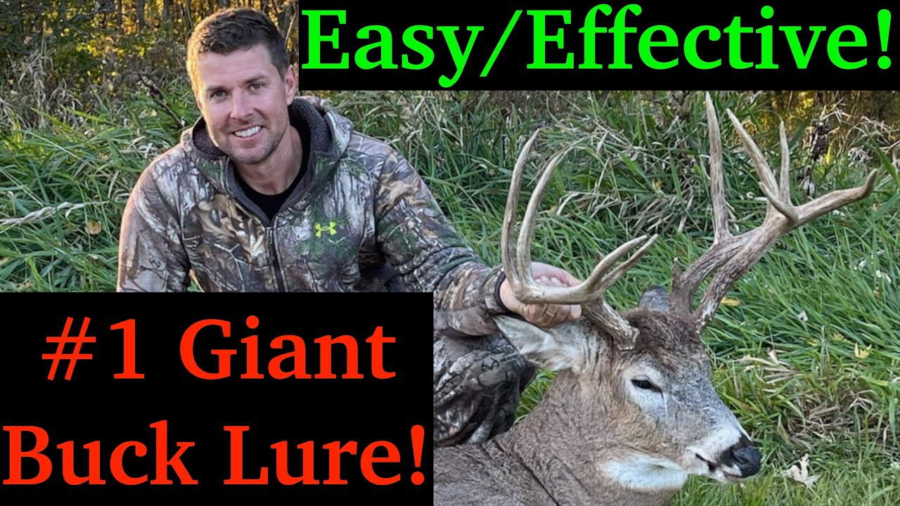 Best Bait For Big Bucks Secret Legal Bait In Every State Youtube