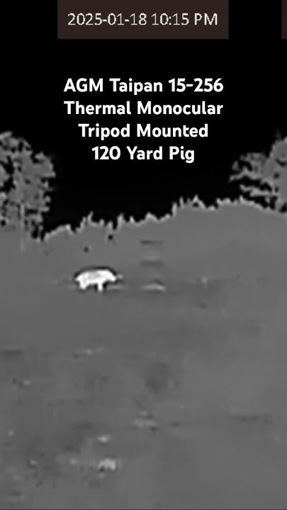 AGM Taipan 15-256 Thermal Monocular - 120 Yard Pig - Tripod Mounted - YouTube