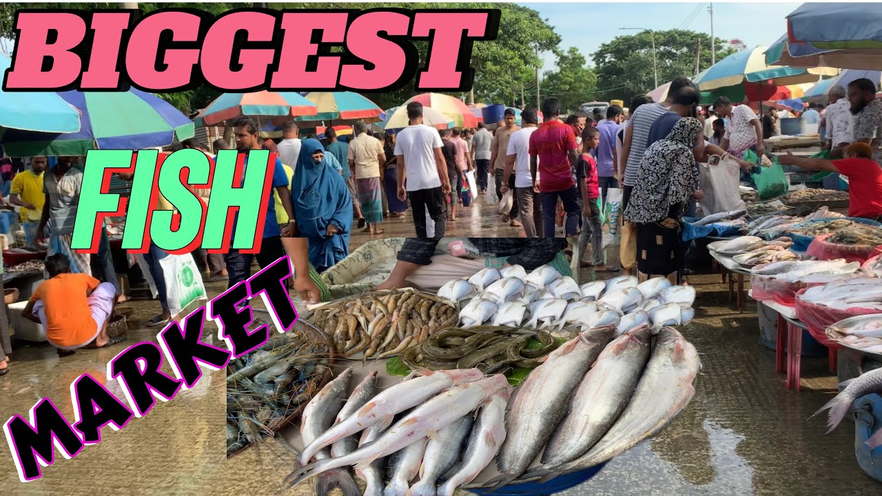 fishery market karachi today | Bangladeshi fish | Mumbai fish | Howrah ...