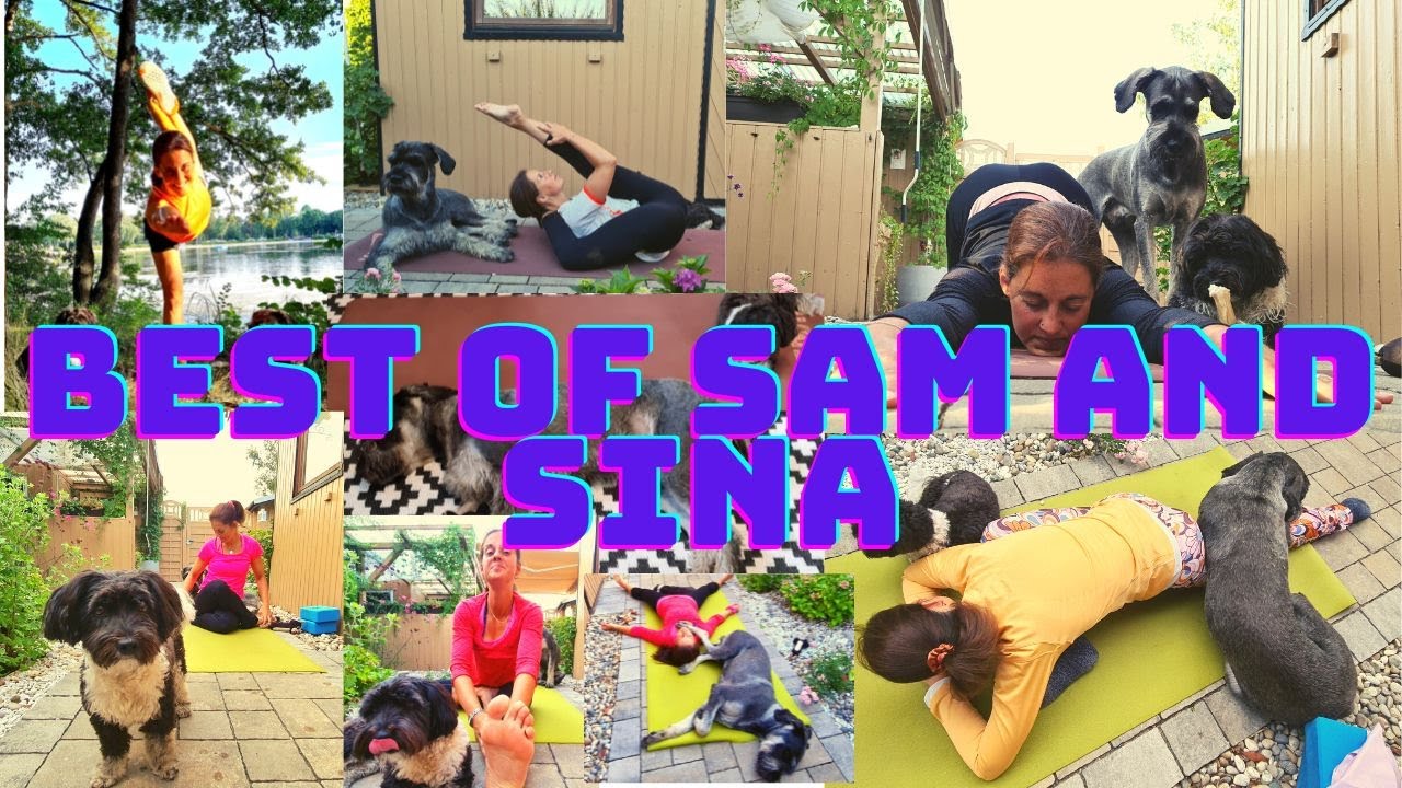 Best of Sam and Sina - YouTube