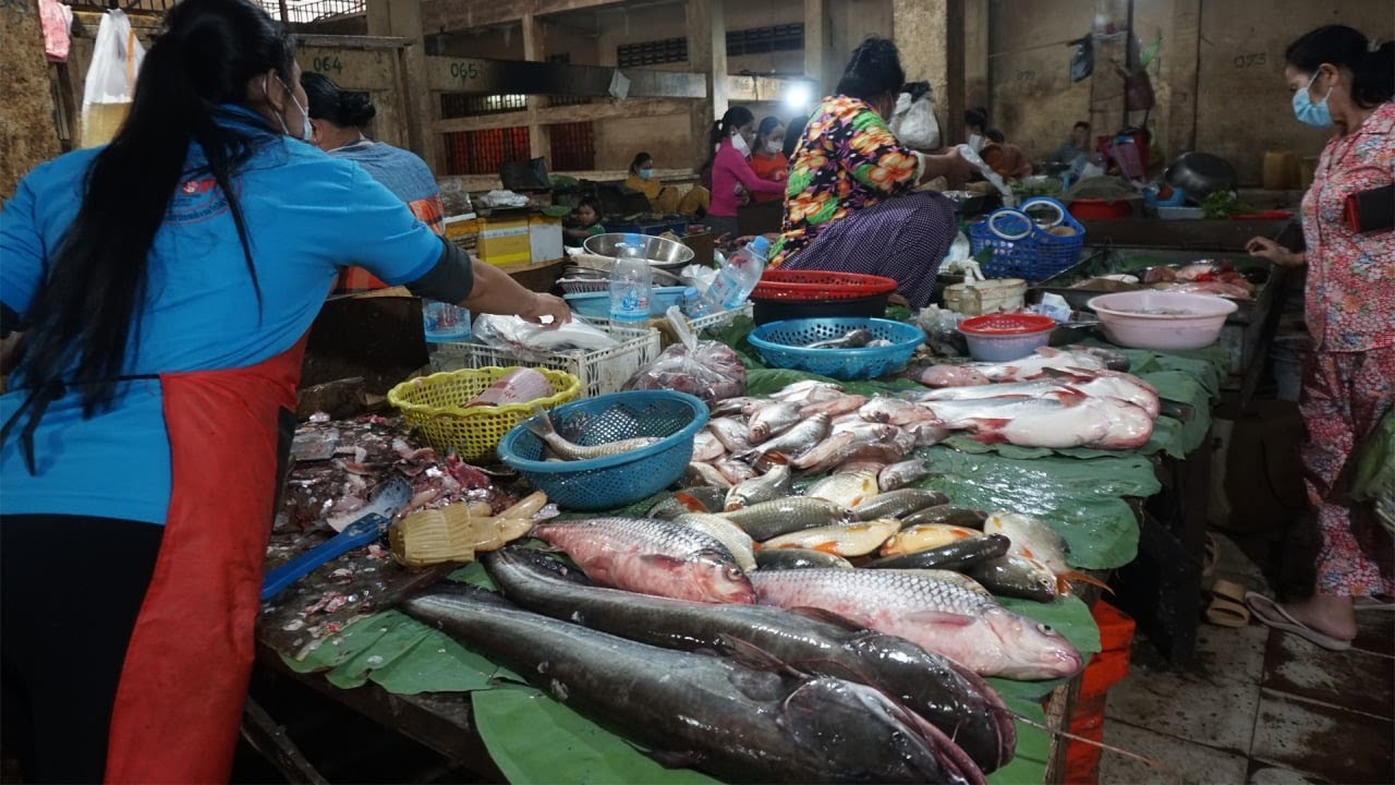 Morning Daily LifeStyle of Vendors Selling Food @Depo Market - Walk ...
