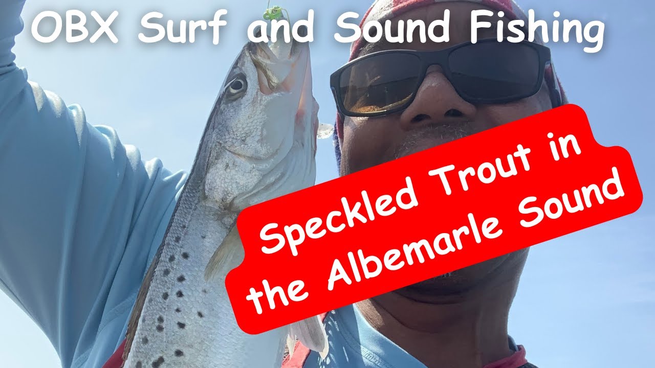 Speckled Trout on the Albemarle Sound - YouTube