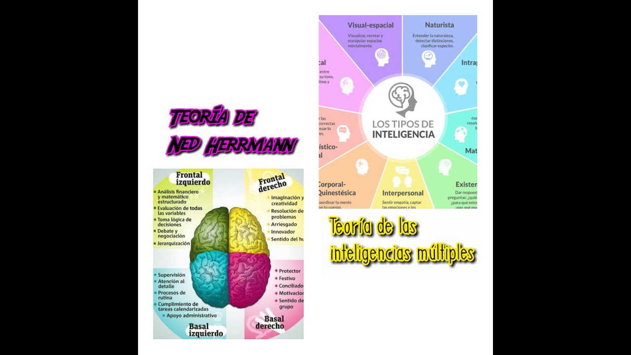 TEORÍA DE NED HERRMANN Y LAS INTELIGENCIAS MÚLTIPLES - YouTube