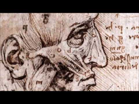 Leonardo da Vinci'nin tıp çizimleri
