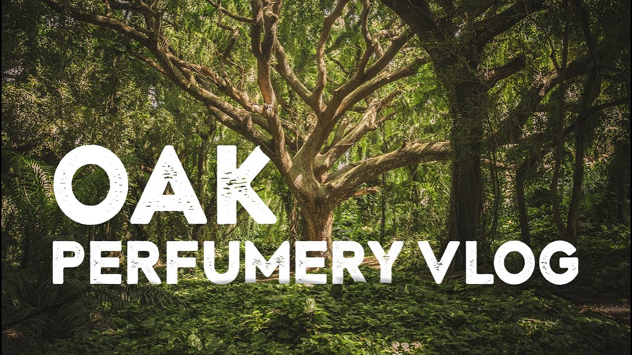Making oak aged perfume with a barrel - YouTube