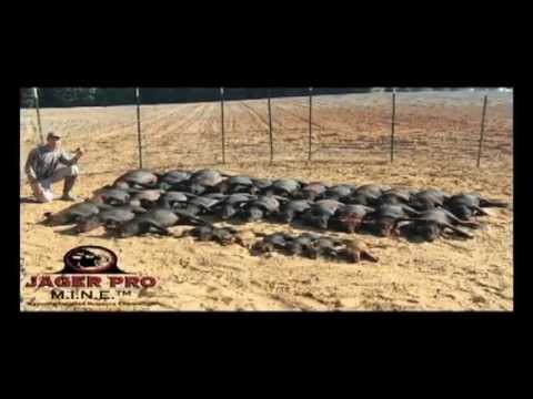 Wild Hog Trapping | Four Legged Enemy (Part 2) | JAGER PRO™ - YouTube