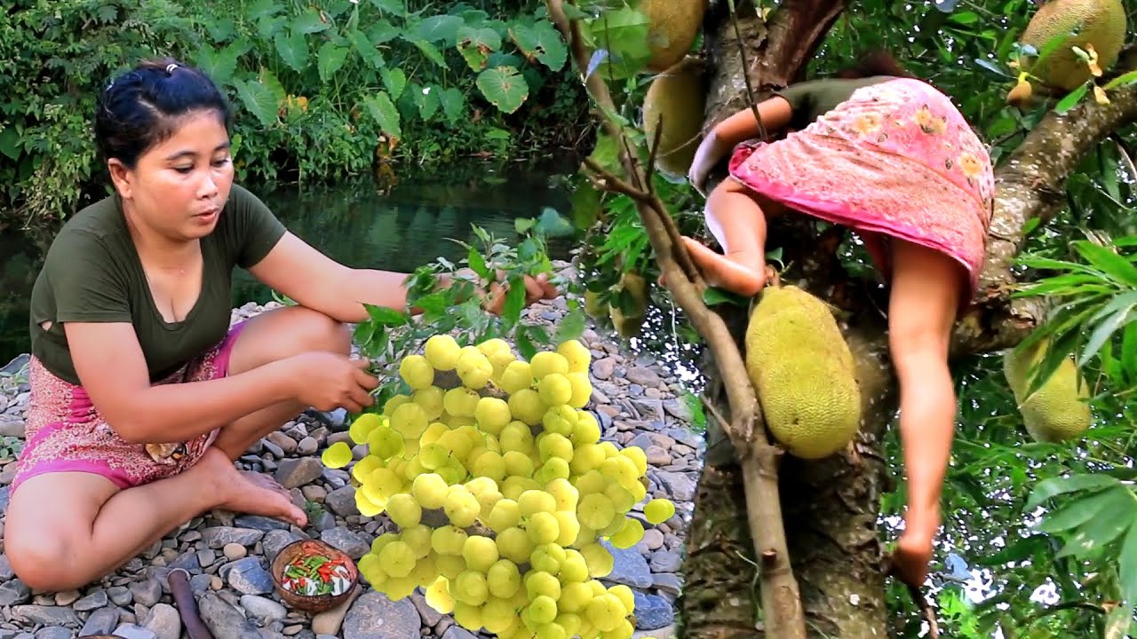 Wow amazing pick goose berry for eating - eating goose berry fruit ...