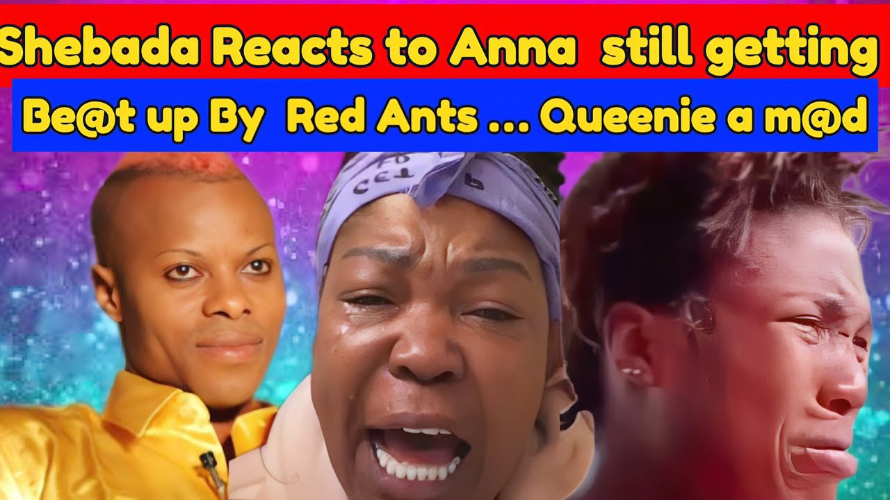Shebada Reacts to Anna still getting be@t up by Red Ants…. Queenie is ...