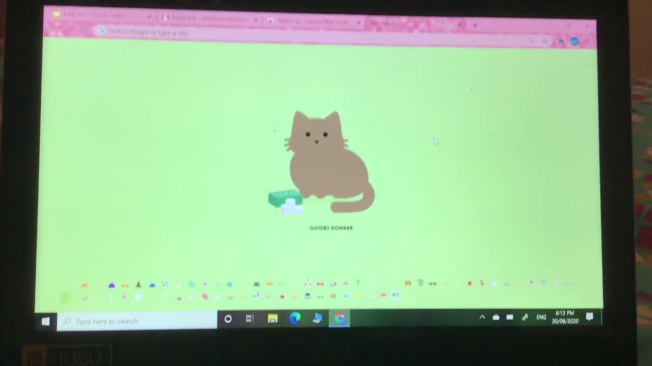 Tabby cat hacks! - YouTube