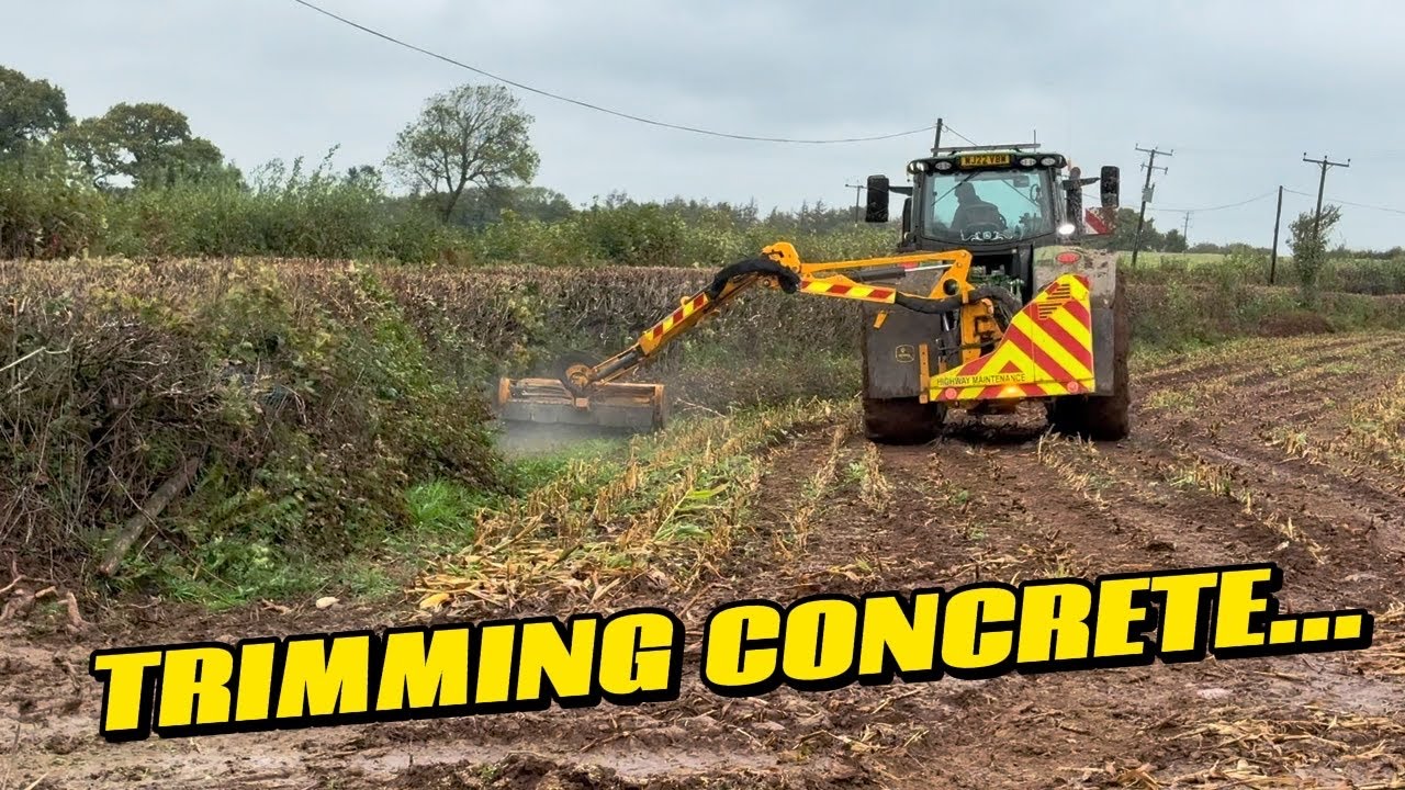 A NASTY SURPRISE FOR THE TRIMMER! AND WE’RE BACK ON GRASS IN THE ...