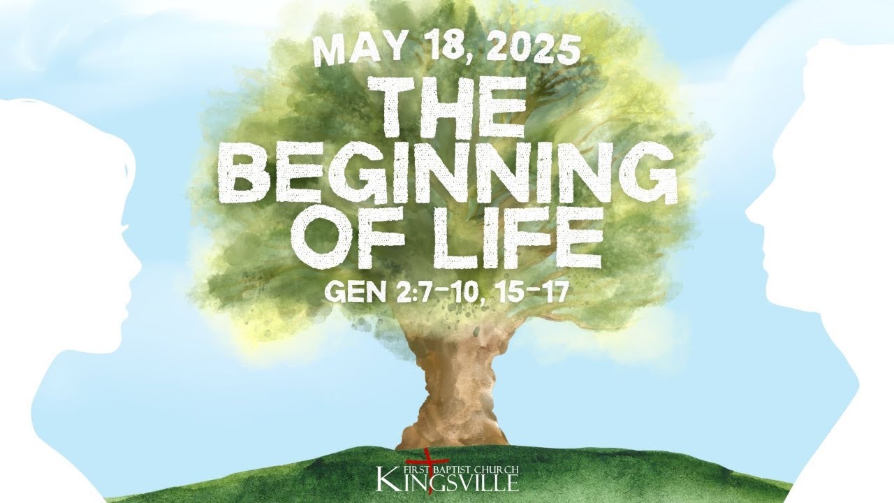 The Beginning of Life - YouTube