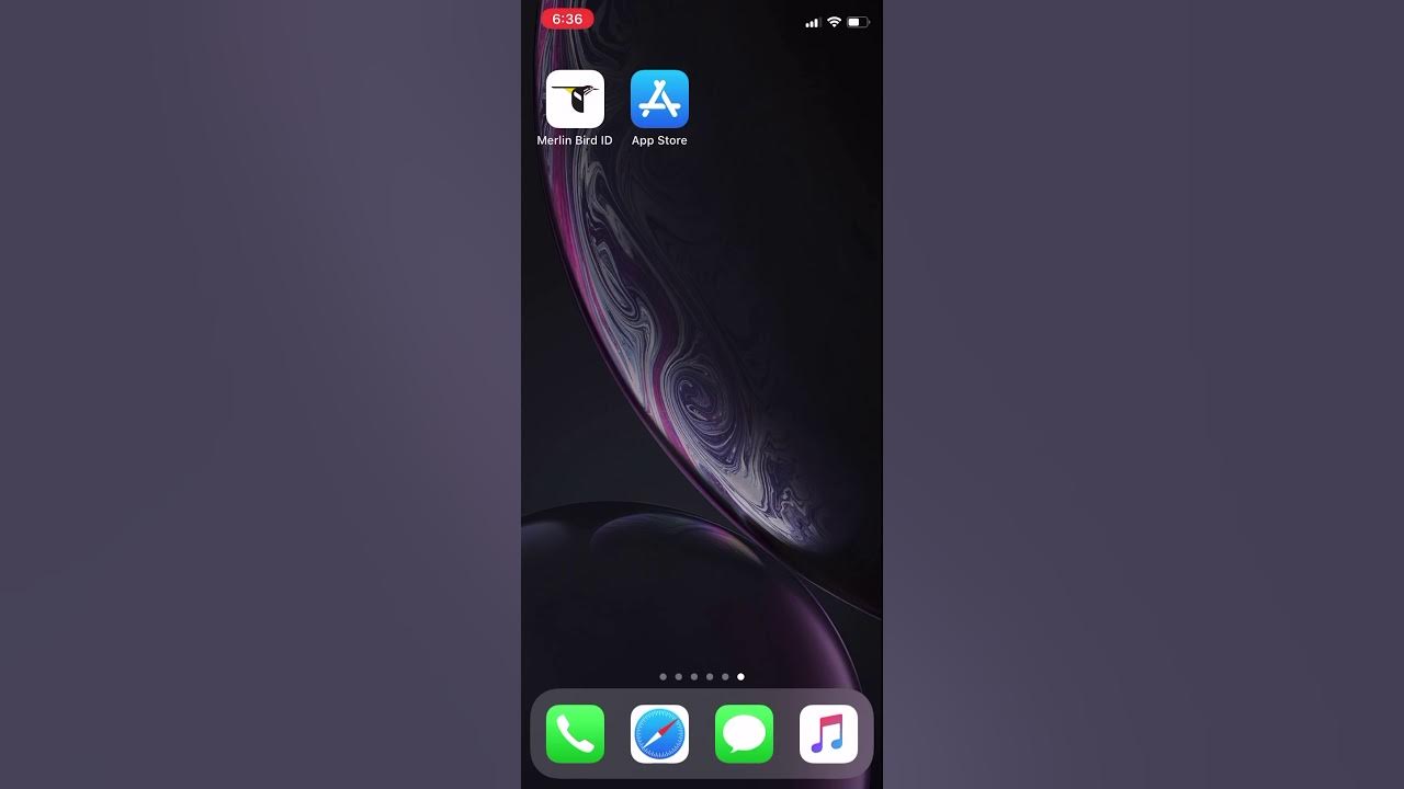 Video tutorial eBird/ Parte 1 - YouTube