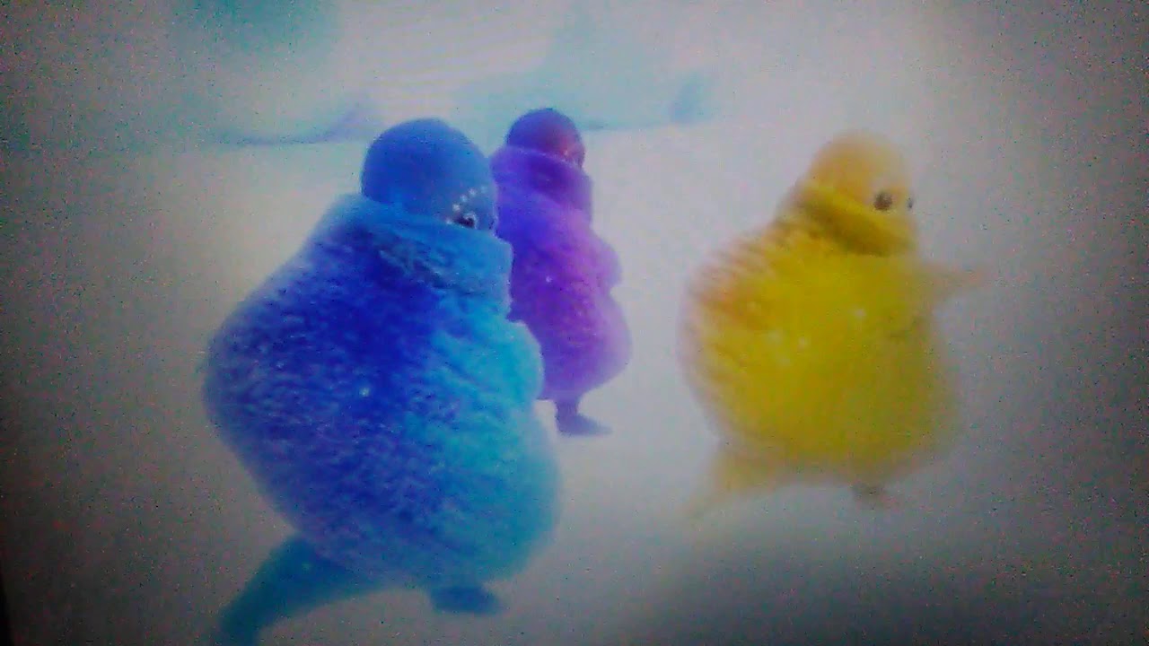 The Boohbahs Hop To It With Some Boohbah Skips To Brave Little Engine ...