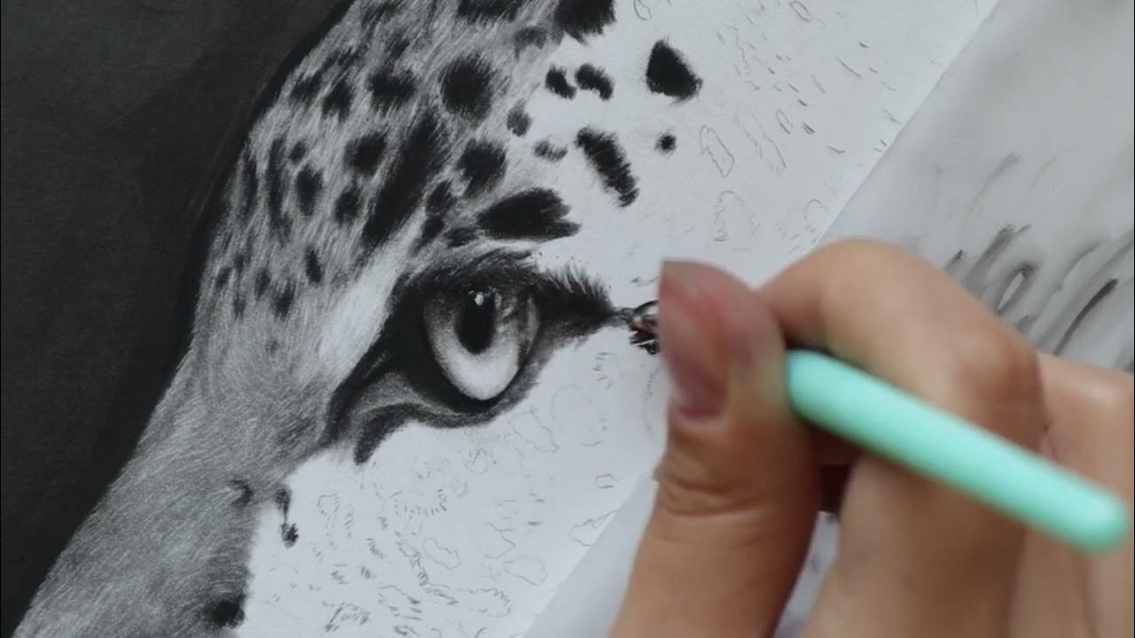 Real Time Hyper Realistic Drawing 🐆 Charcoal drawing process (Part 2 ...