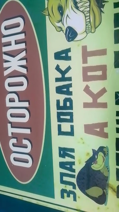 осторожно злая собака а кот вообще дебил 🤣 - YouTube