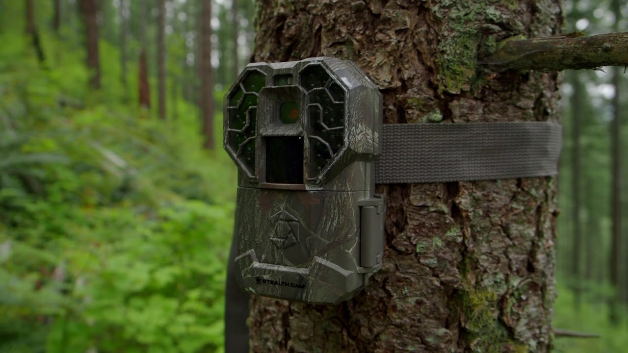 Puppy helps set trail camera. - YouTube