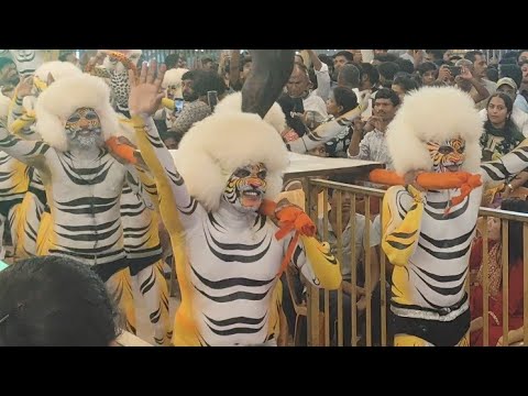 King Tigers Kapu Tiger dance Performance In Kapu Pili Parba🐯 #tulunad # ...