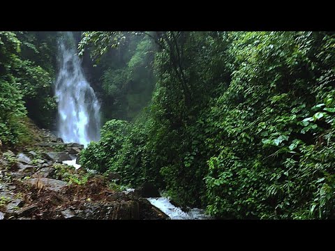 Leimaram Waterfall ||:Shadu Chiru Waterfall, MANIPUR NORTHEAST INDIA🇮🇳 ...