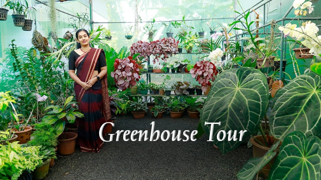 GREENHOUSE TOUR - YouTube