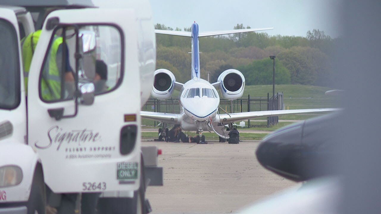 Bird strikes up 48 percent since 2020, FAA records show - YouTube
