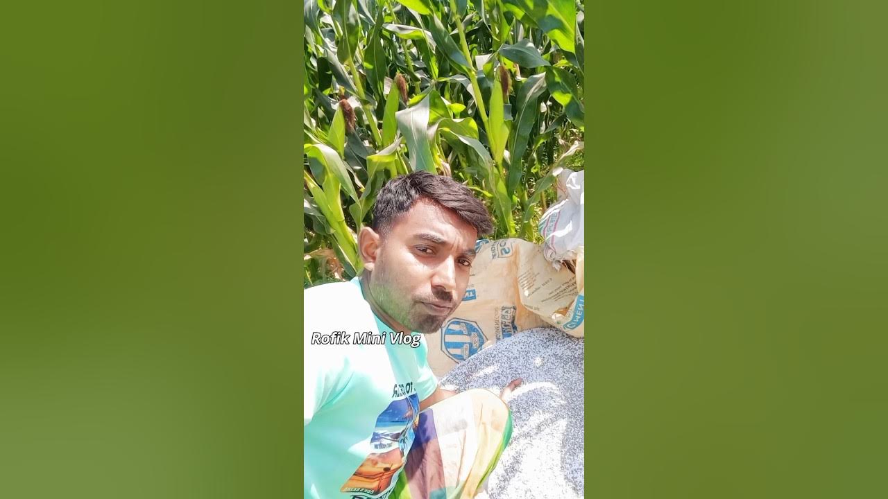 অনেক গুলো সার মিষ্ট করলাম। Rofik Mini Vlog. - YouTube