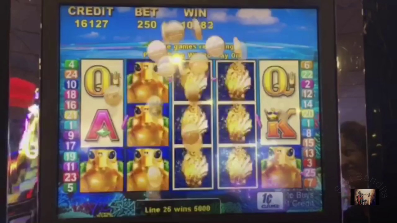 Huge Win!!!!! Turtle Treasure (Coushatta). - YouTube