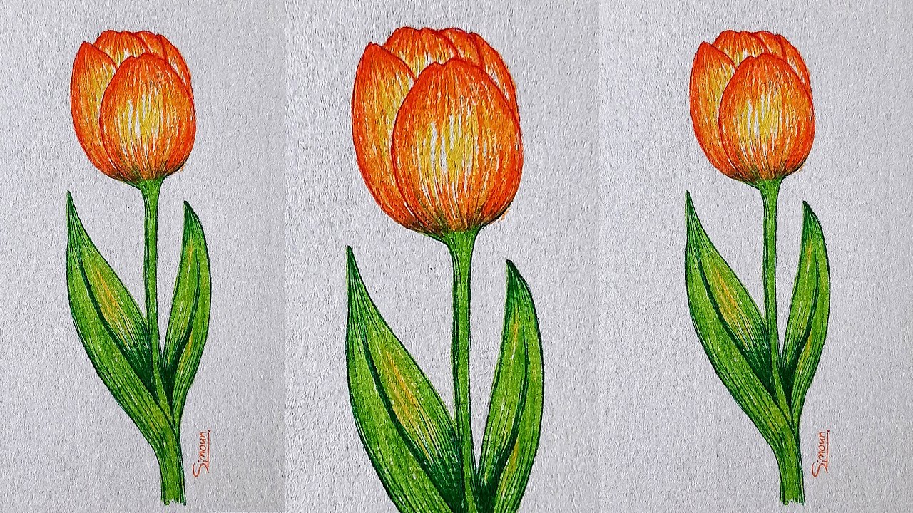 How To Draw Tulip Flower | Brush pen | Sinoun Drawing - YouTube