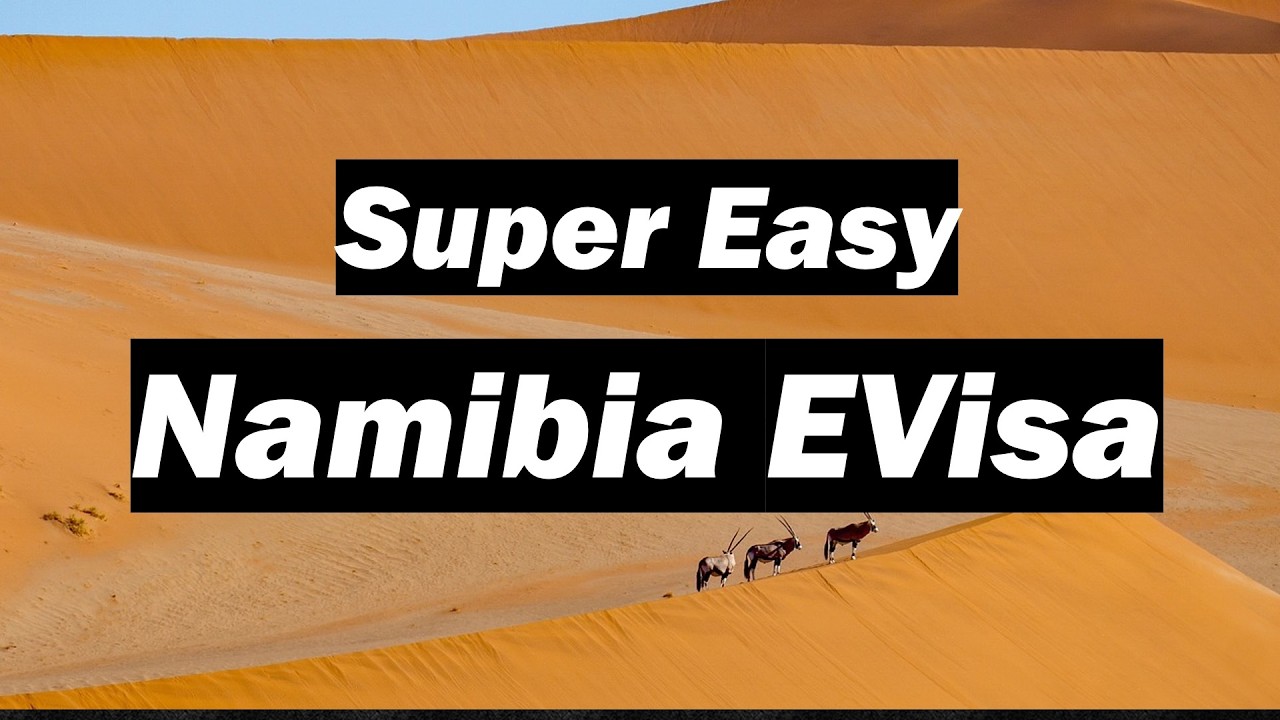 🇳🇦 How to complete the Namibia E-Visa Application - YouTube