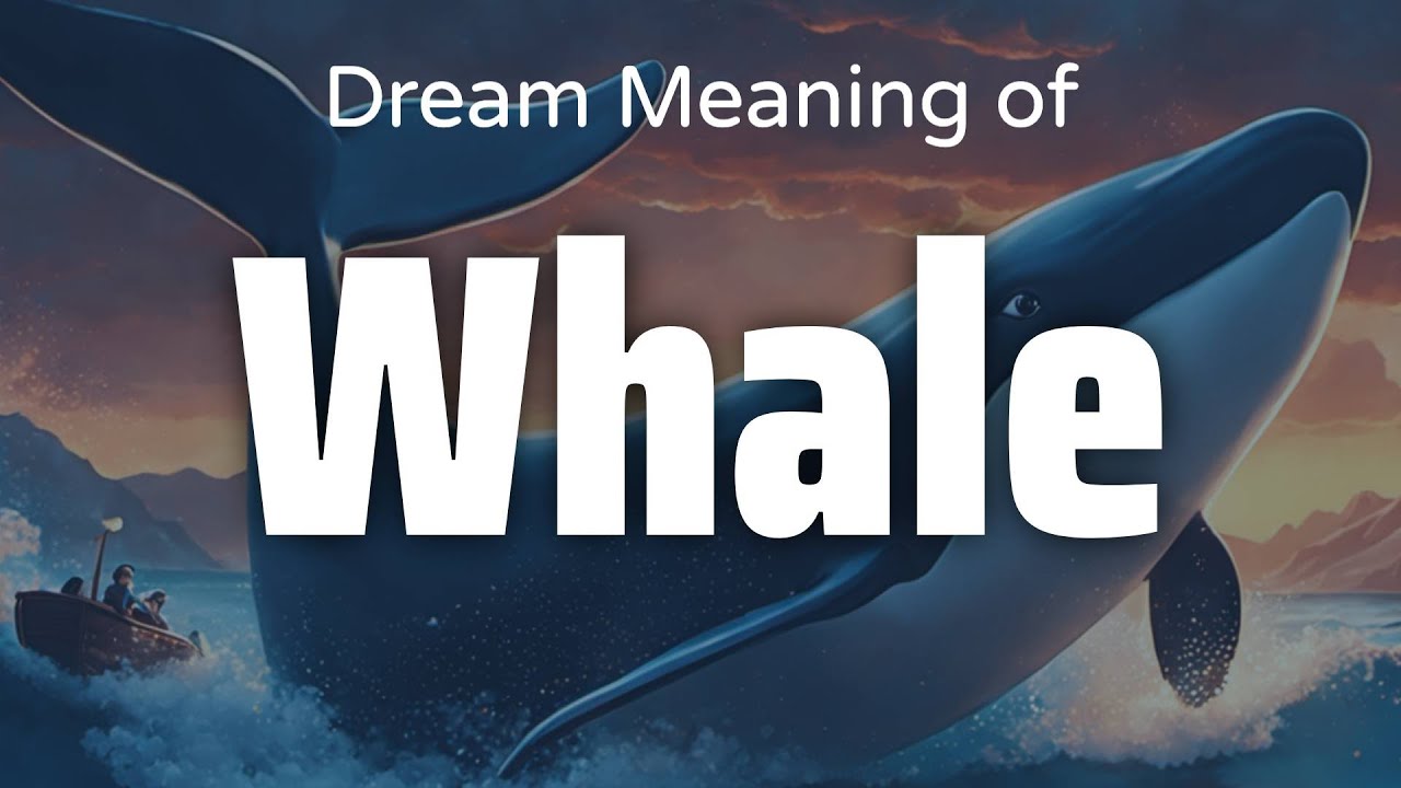 Whale Dream Meaning & Symbolism | Interpretation Psychology - YouTube
