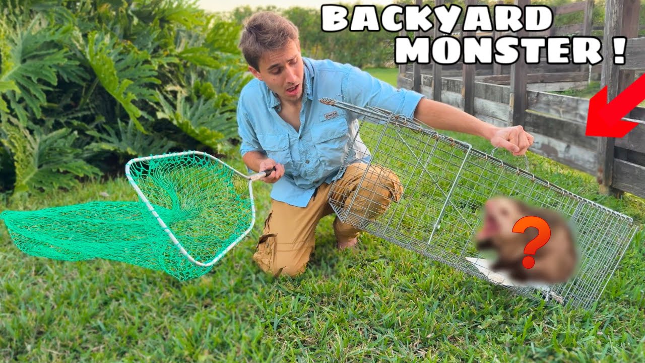 I TRAPPED THE MONSTER IN MY BACKYARD ! - YouTube