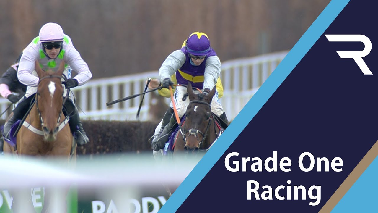 MACHINE! Monkfish is different class in the Flogas Novice Chase ...