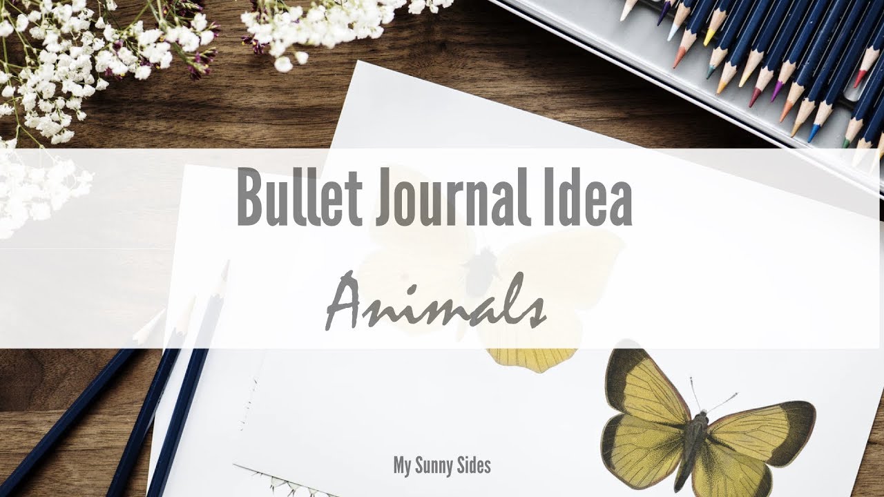 Bullet Journal Idea - Animal Theme - YouTube