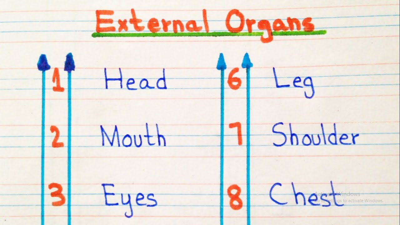 10 External Organs | External Organs Names | External organs | Ten ...