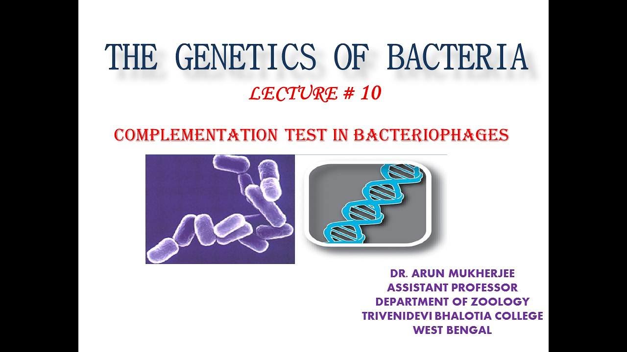 Complementation Test - YouTube