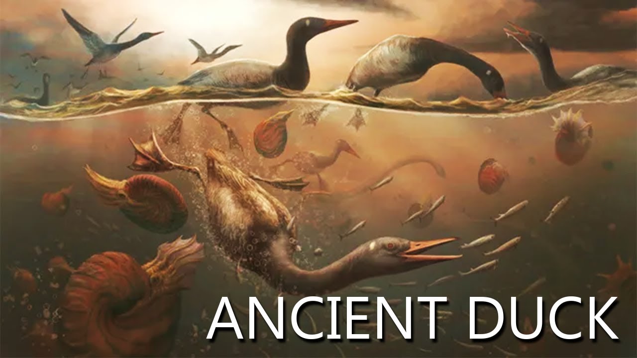 Ancient Duck Ancestor Found in Antarctica Makes Scientific History ...