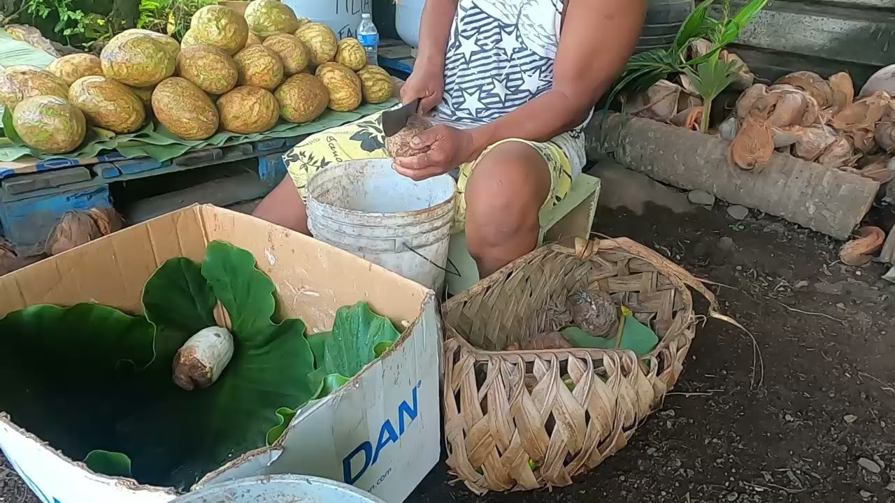 UMU/Samoan Way of Cooking (Taro & bread fruit)chicken, - YouTube