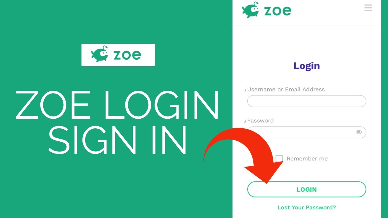 ZOE Login 2021: How to Login Zoe Learning Account? - YouTube