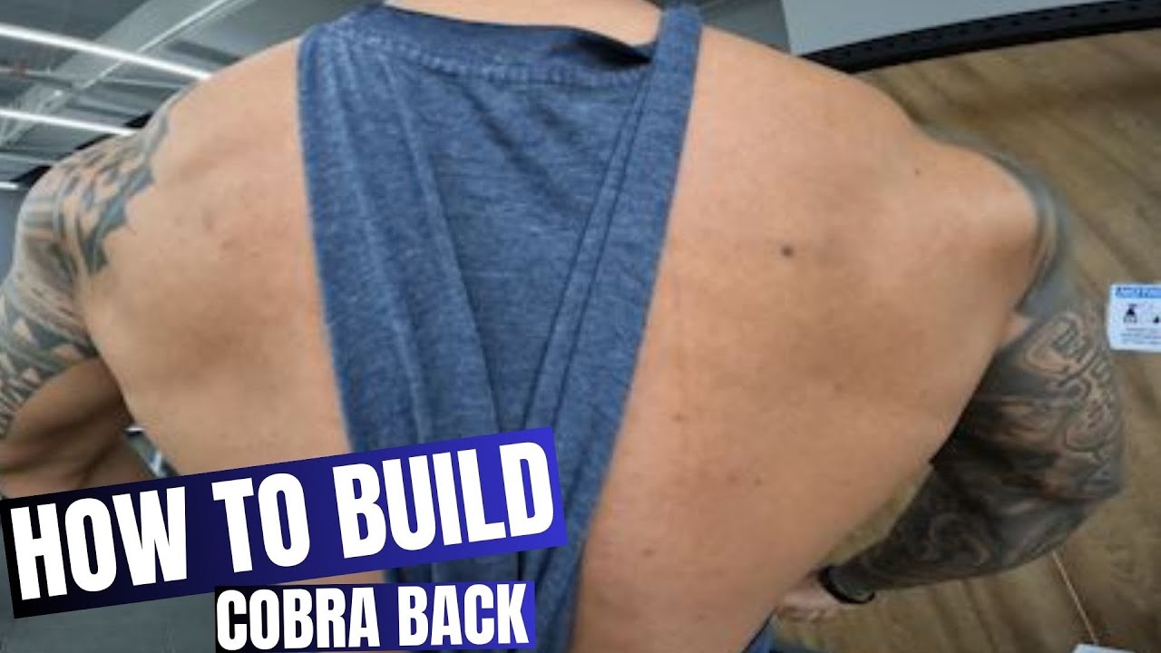 HOW TO BULD COBRA BACK | PR NANAMAN - YouTube