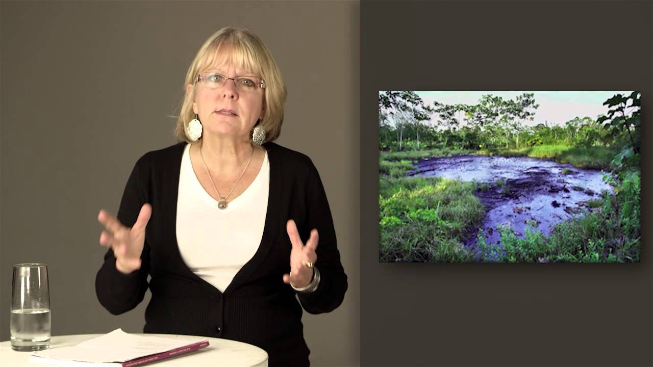 Susan Green Lecture 1 Final Version 3 720p - YouTube