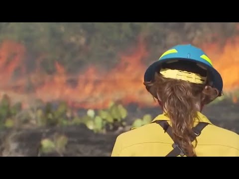 Homeowners learn about defensible space as Texas drought conditions ...