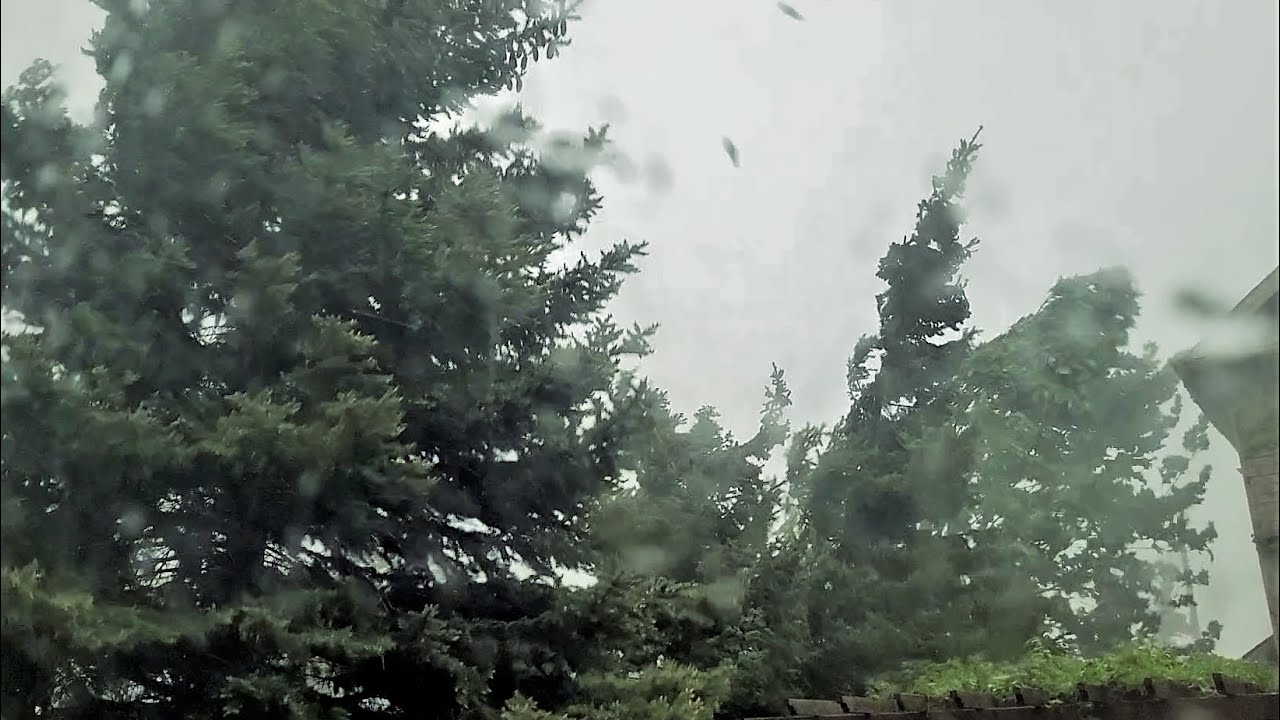 WILD Wind and Rain Storm Toronto May 21, 2022 - YouTube