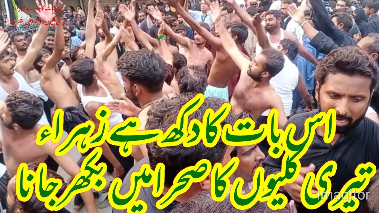 Bibi Fatima sa || is bat ka dukh hai Zahra Teri kalyio ka sehra me bikhar Jana || yadgar Pursa ...