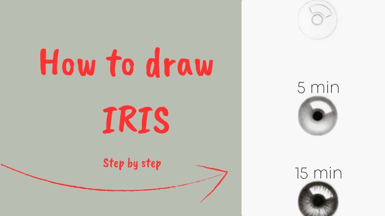How to draw realistic Iris | Drawing Tutorial - YouTube