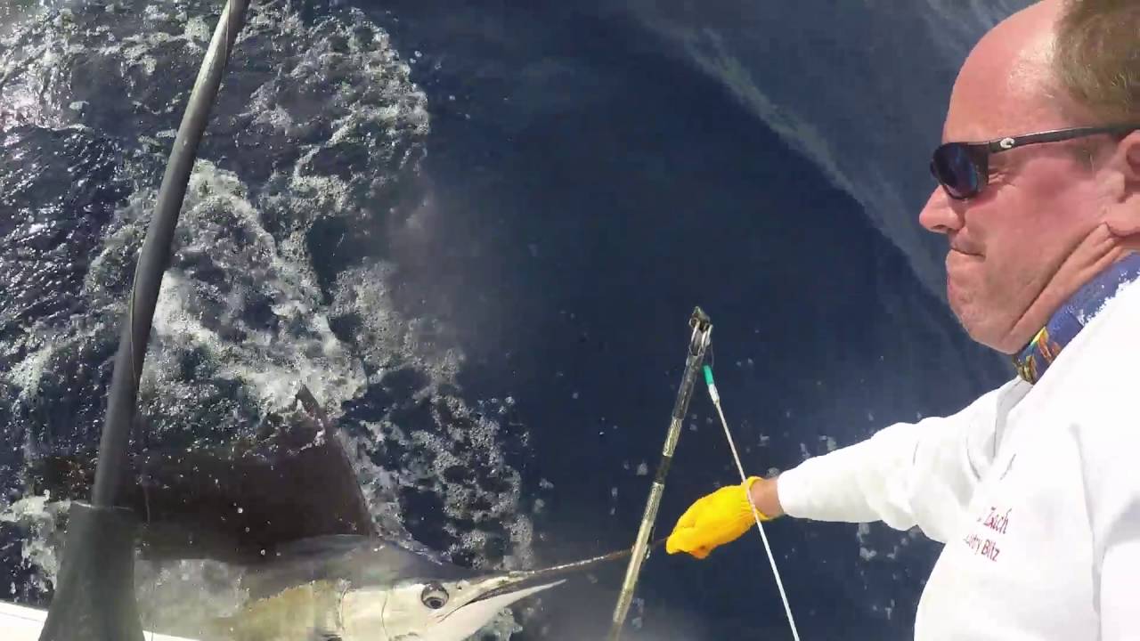 New Yamaha F200XB - YouTube