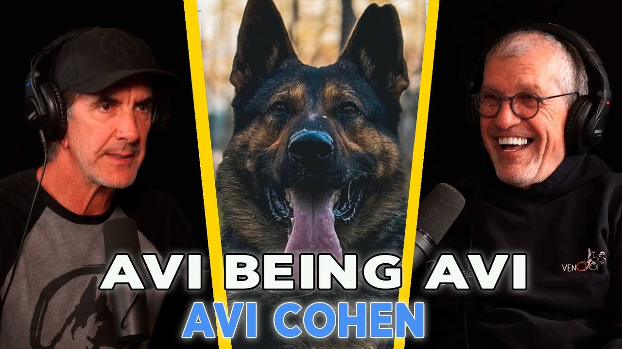 Episode 128 German Shepherds, Jealousy and Loving Life - Avi Cohen - BEING AVI - YouTube