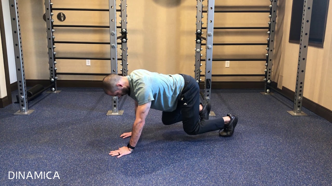 Quadruped Crawl - Forward and Backward - YouTube